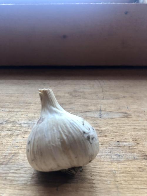 Garlic – Broad Arrow Farm Market & Butcher